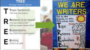 SRSD In Action | Writing Strategies For Students | SRSD Online