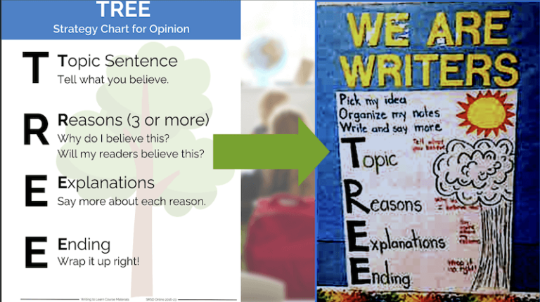 SRSD In Action | Writing Strategies For Students | SRSD Online